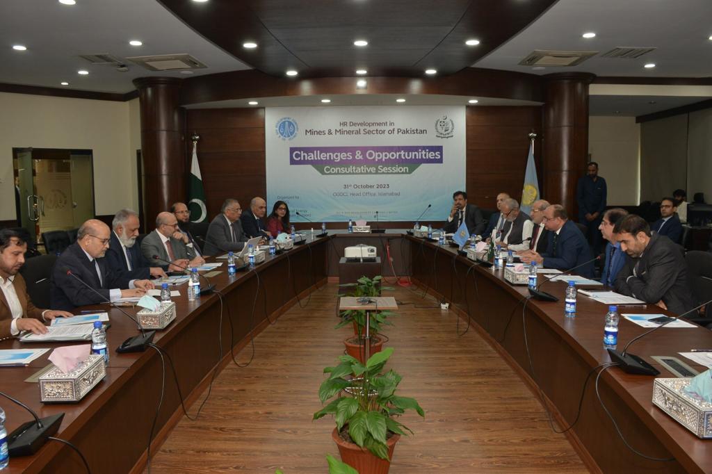 CONSULTATIVE SESSION ON HUMAN RESOURCE AND PROFESSIONAL DEVELOPMENT IN ...